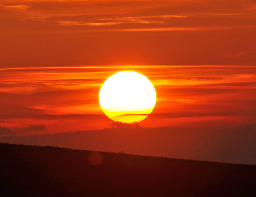 Single Portfolio: 2/3 Slider - Gleonda Angus Farms